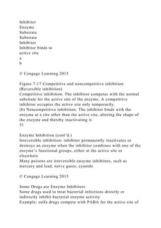 Chapter 7Energy and Metabolism© Cengage Learning 2015.docx