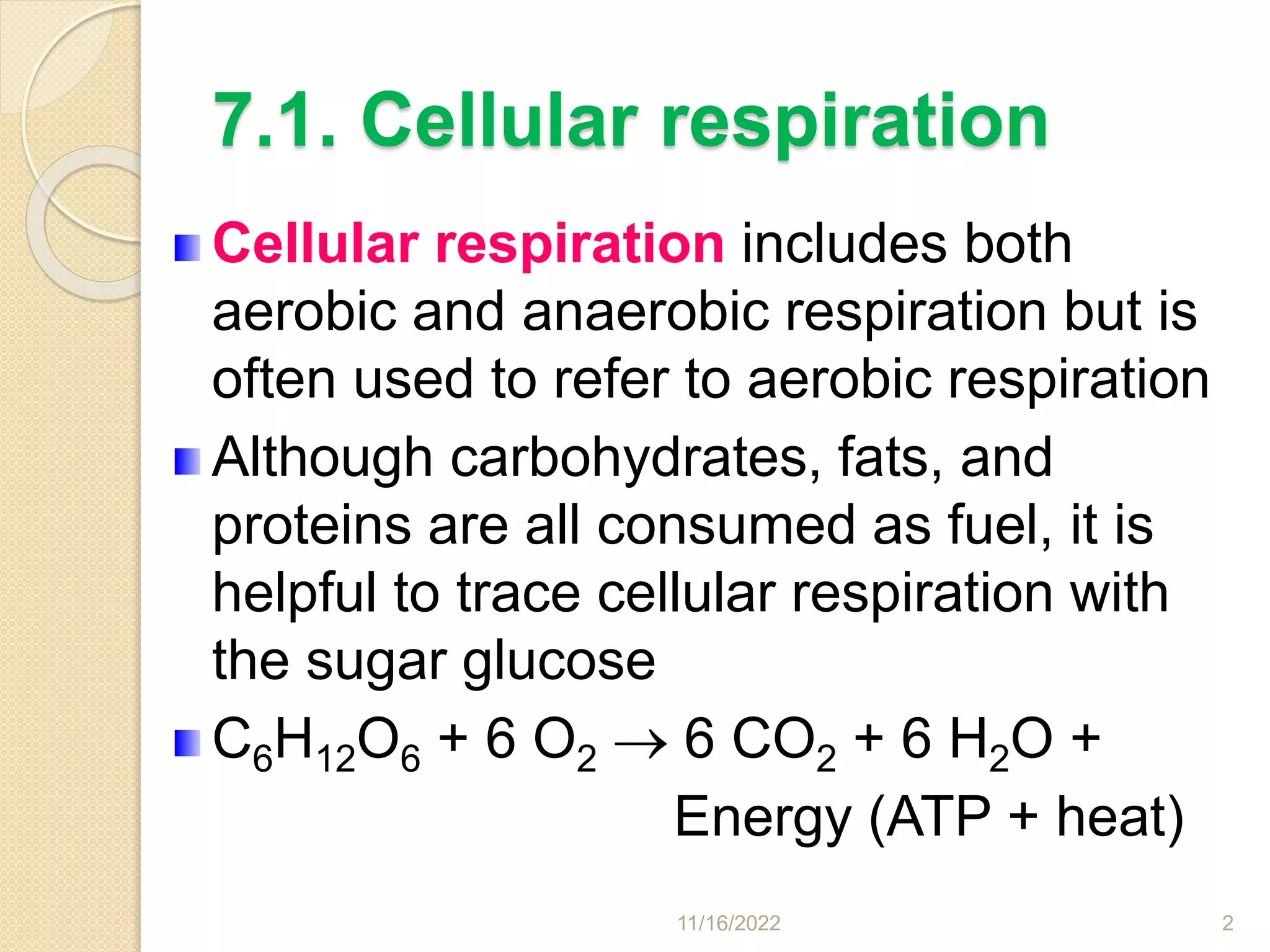 Chapter 7 Energy transduction in cells.pptx