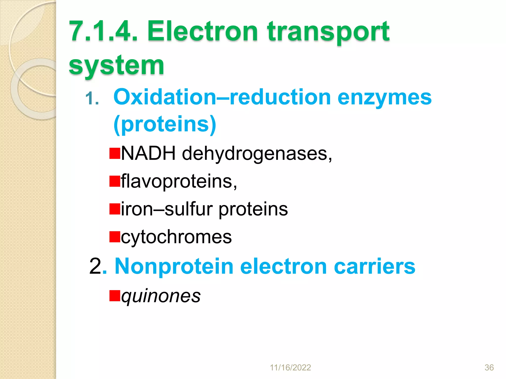 Chapter 7 Energy transduction in cells.pptx