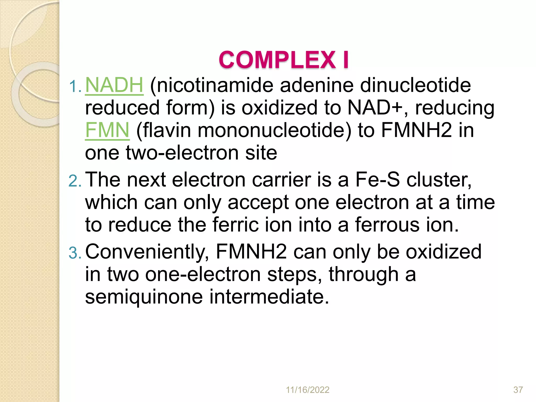 Chapter 7 Energy transduction in cells.pptx
