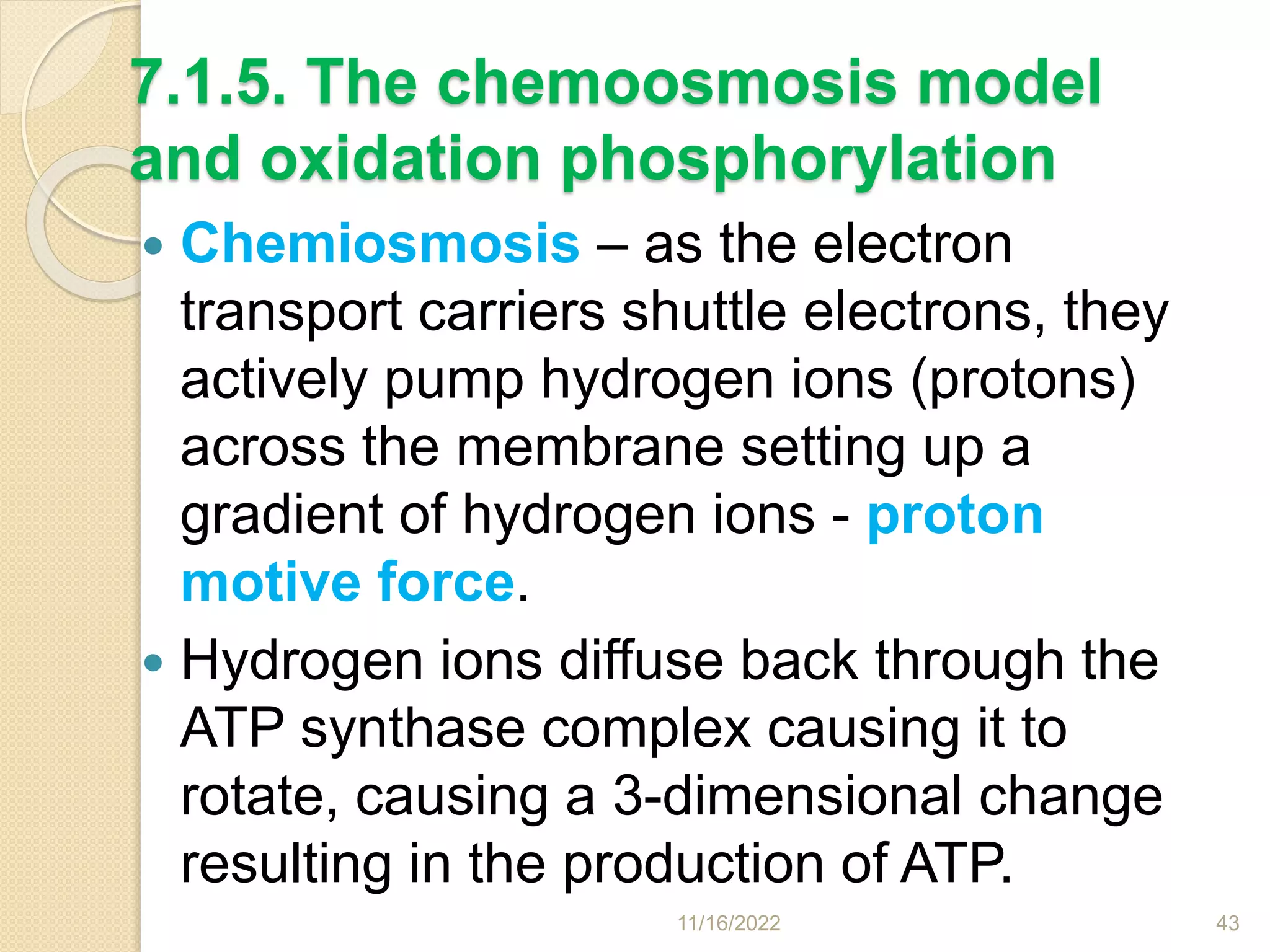 Chapter 7 Energy transduction in cells.pptx