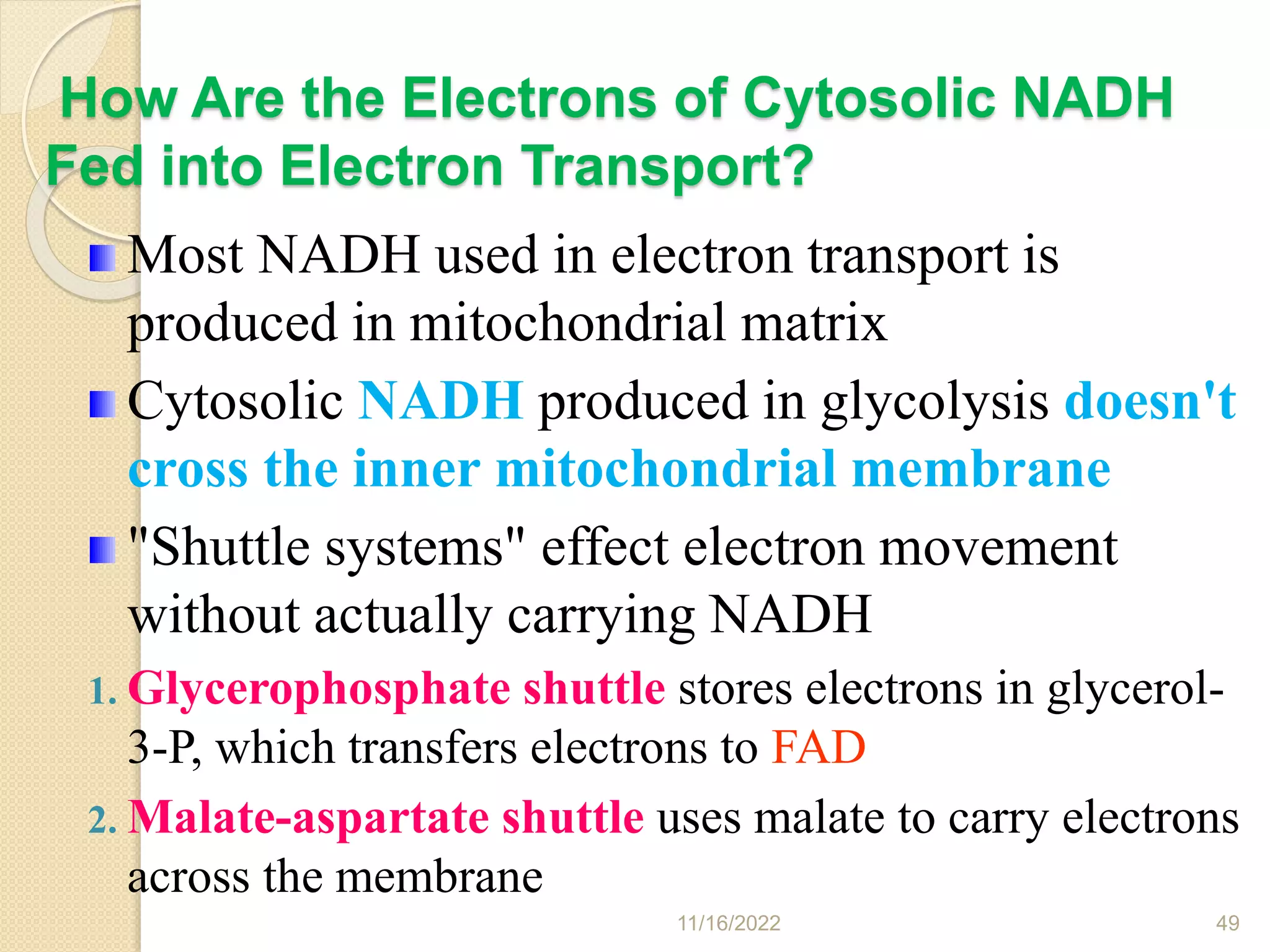 Chapter 7 Energy transduction in cells.pptx