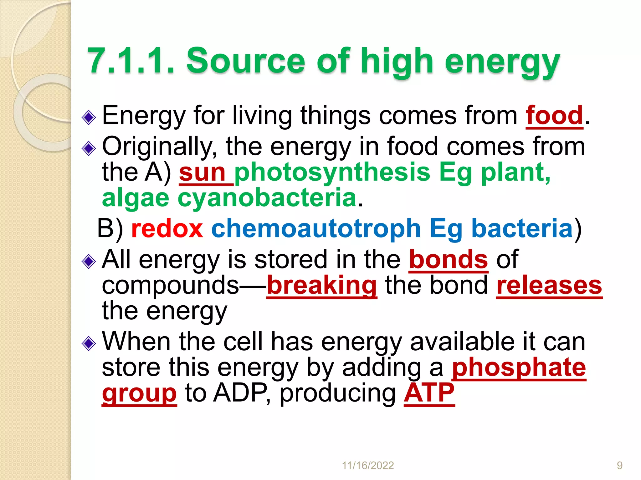 Chapter 7 Energy transduction in cells.pptx
