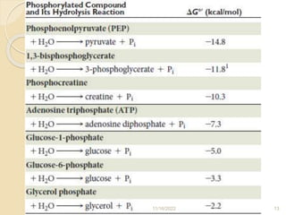 Chapter 7 Energy transduction in cells.pptx