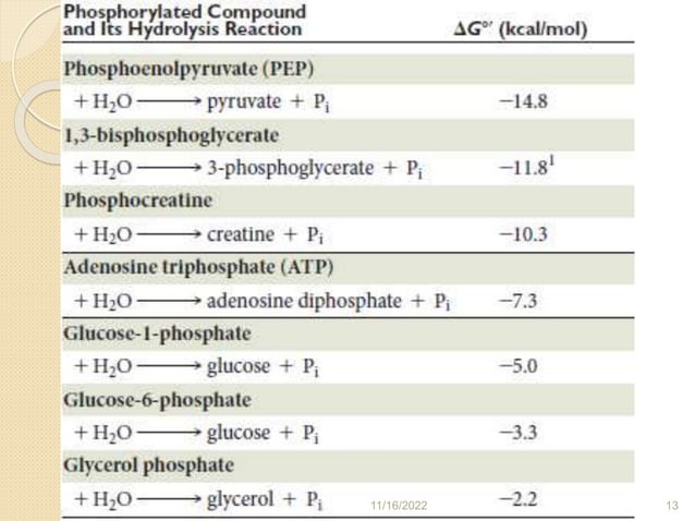 Chapter 7 Energy transduction in cells.pptx