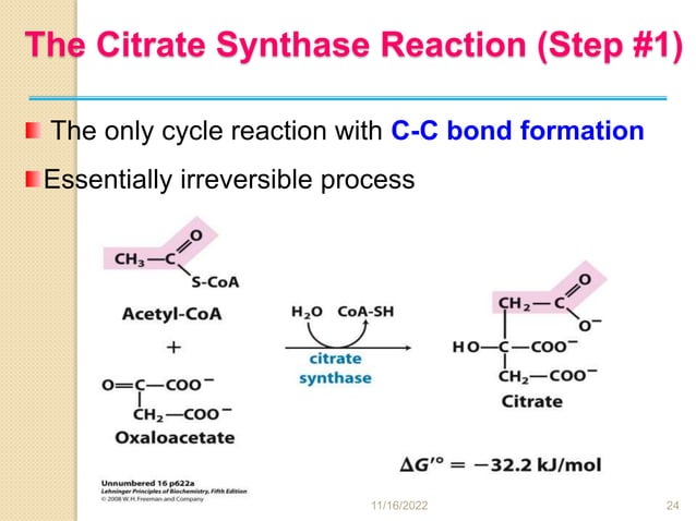 Chapter 7 Energy transduction in cells.pptx