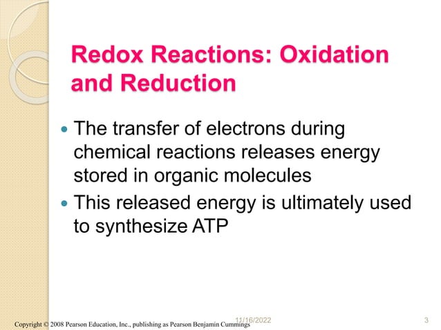 Chapter 7 Energy transduction in cells.pptx