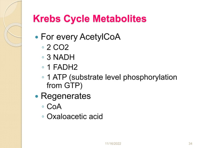 Chapter 7 Energy transduction in cells.pptx