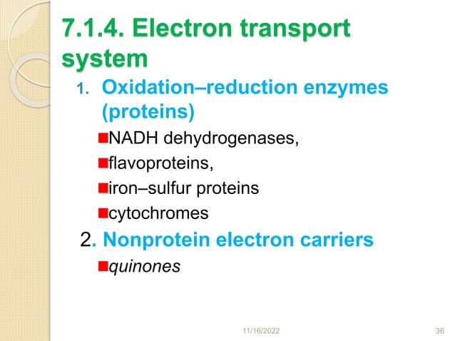 Chapter 7 Energy transduction in cells.pptx