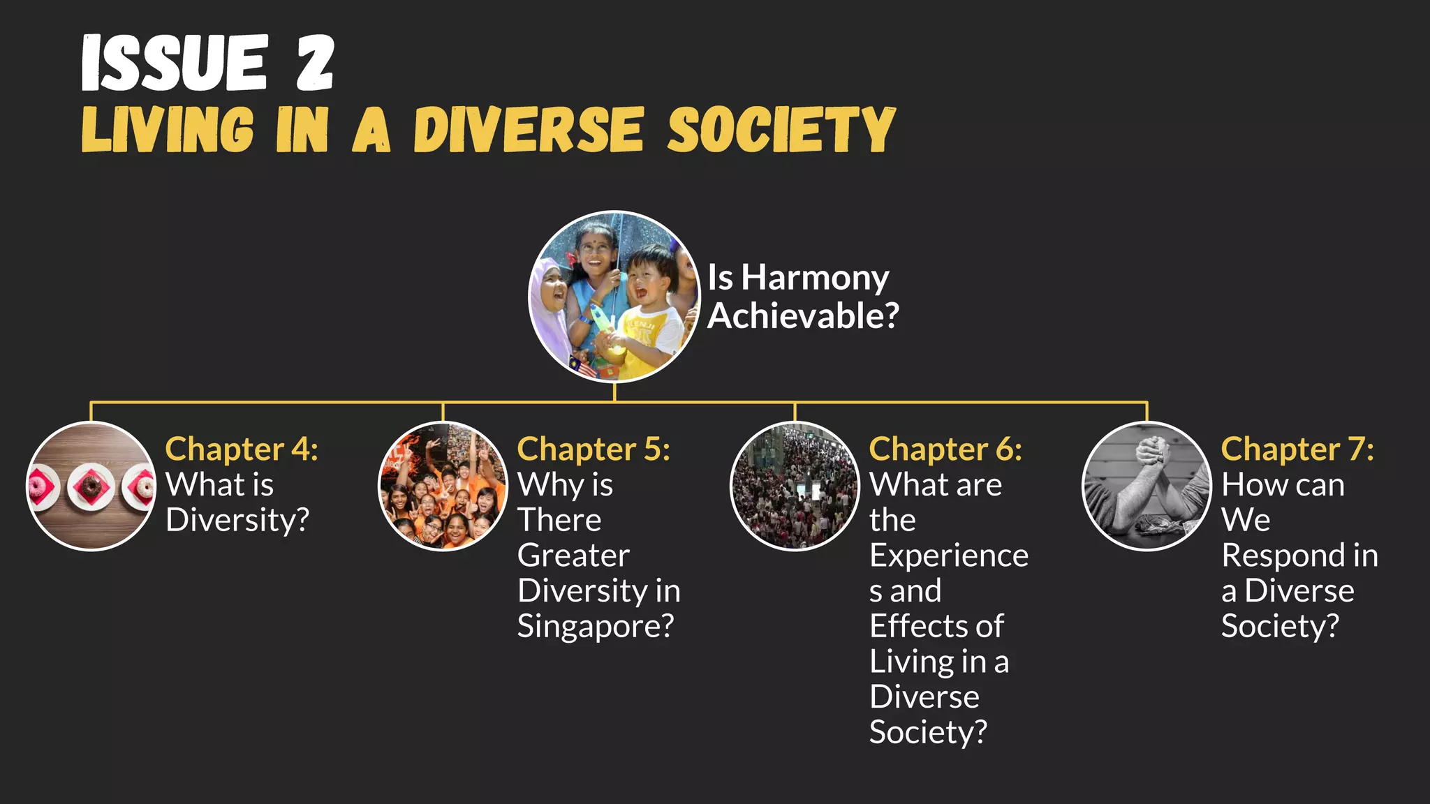 Social Studies Chapter 7 How Can We Respond in a Diverse Society | PDF
