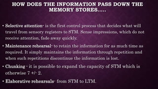 Chapter 7 Human memory.ppt