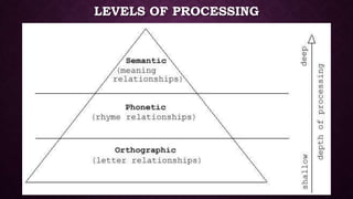 Chapter 7 Human memory.ppt