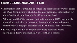 Chapter 7 Human memory.ppt