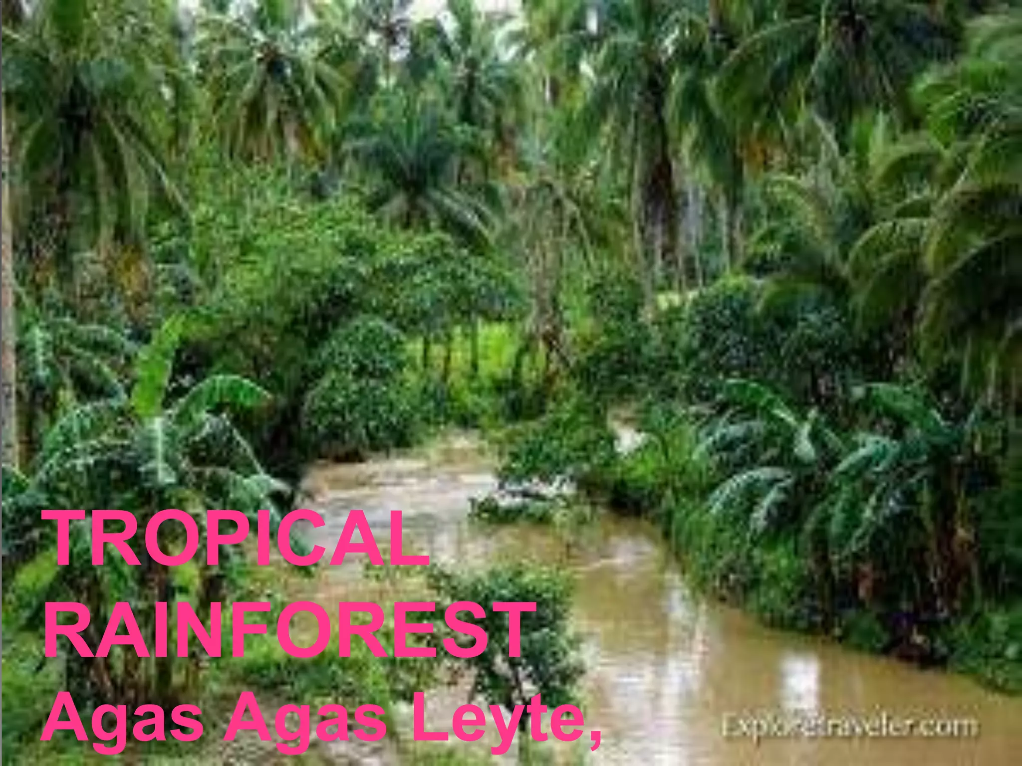 Chapter 7 Interaction and Interdependence | PPTX