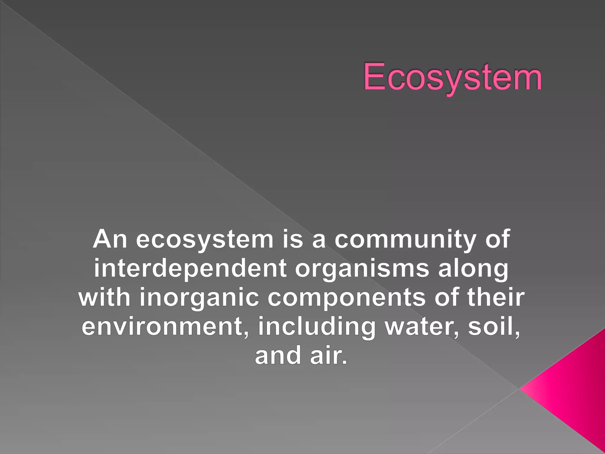 Chapter 7 Interaction and Interdependence | PPTX