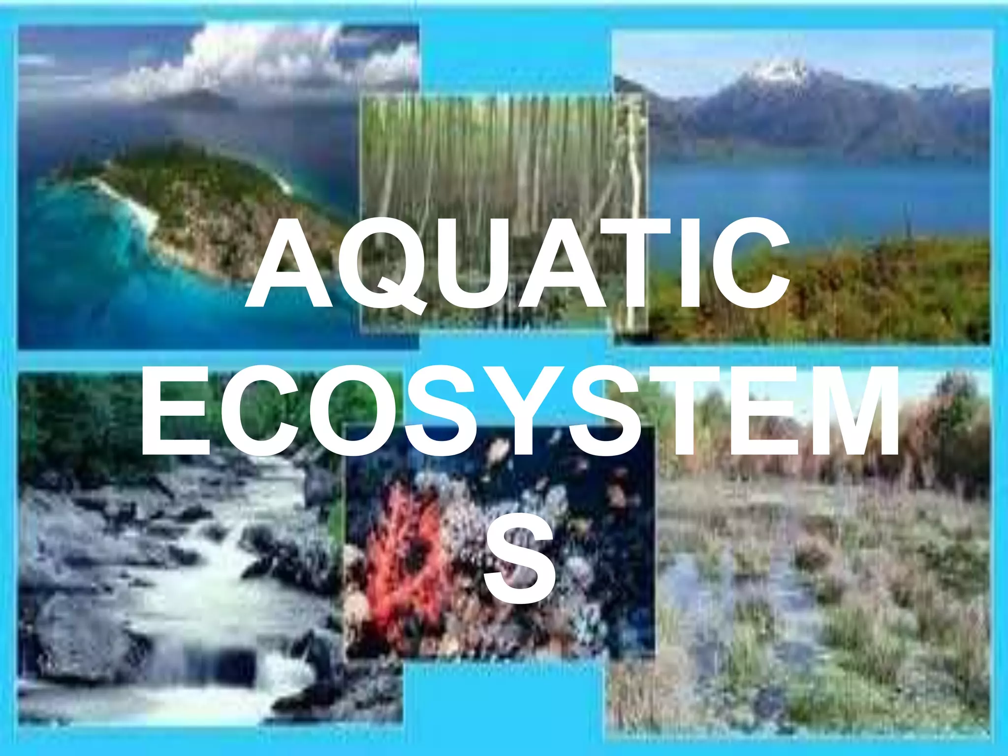 Chapter 7 Interaction and Interdependence | PPTX