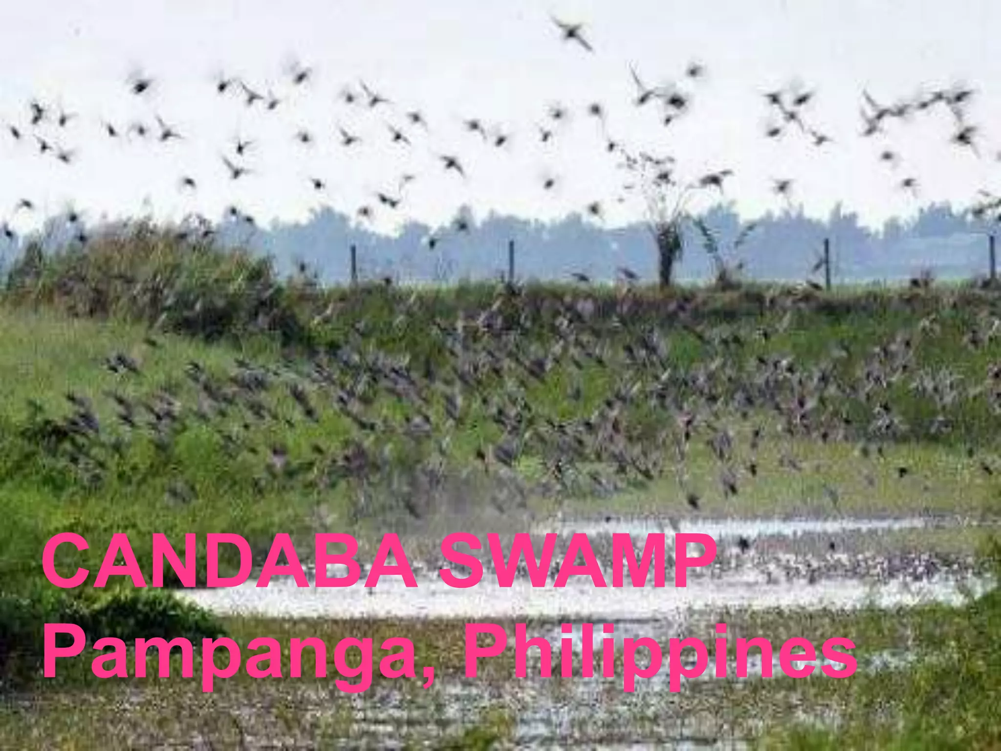 Chapter 7 Interaction and Interdependence | PPTX