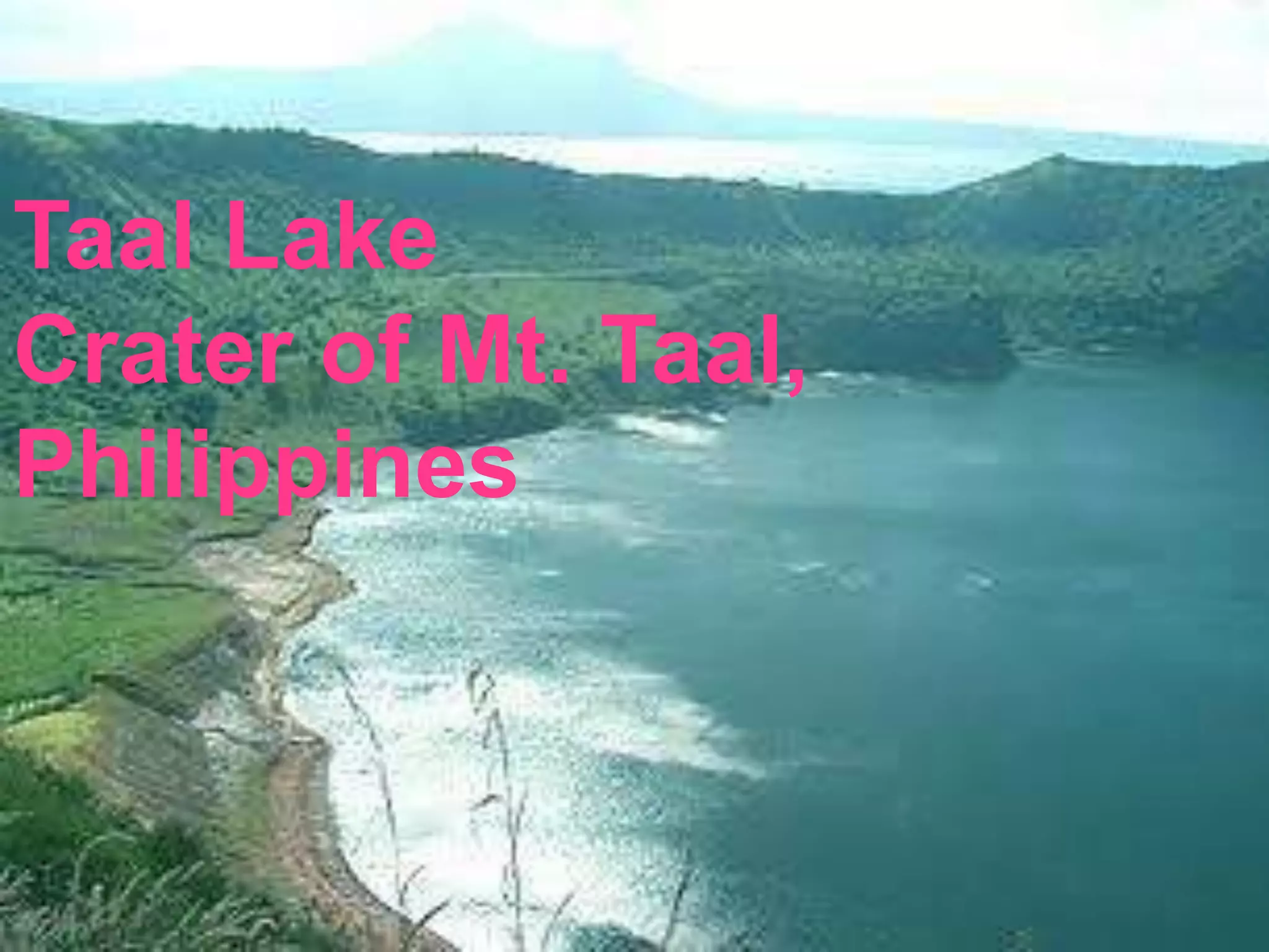 Chapter 7 Interaction and Interdependence | PPTX