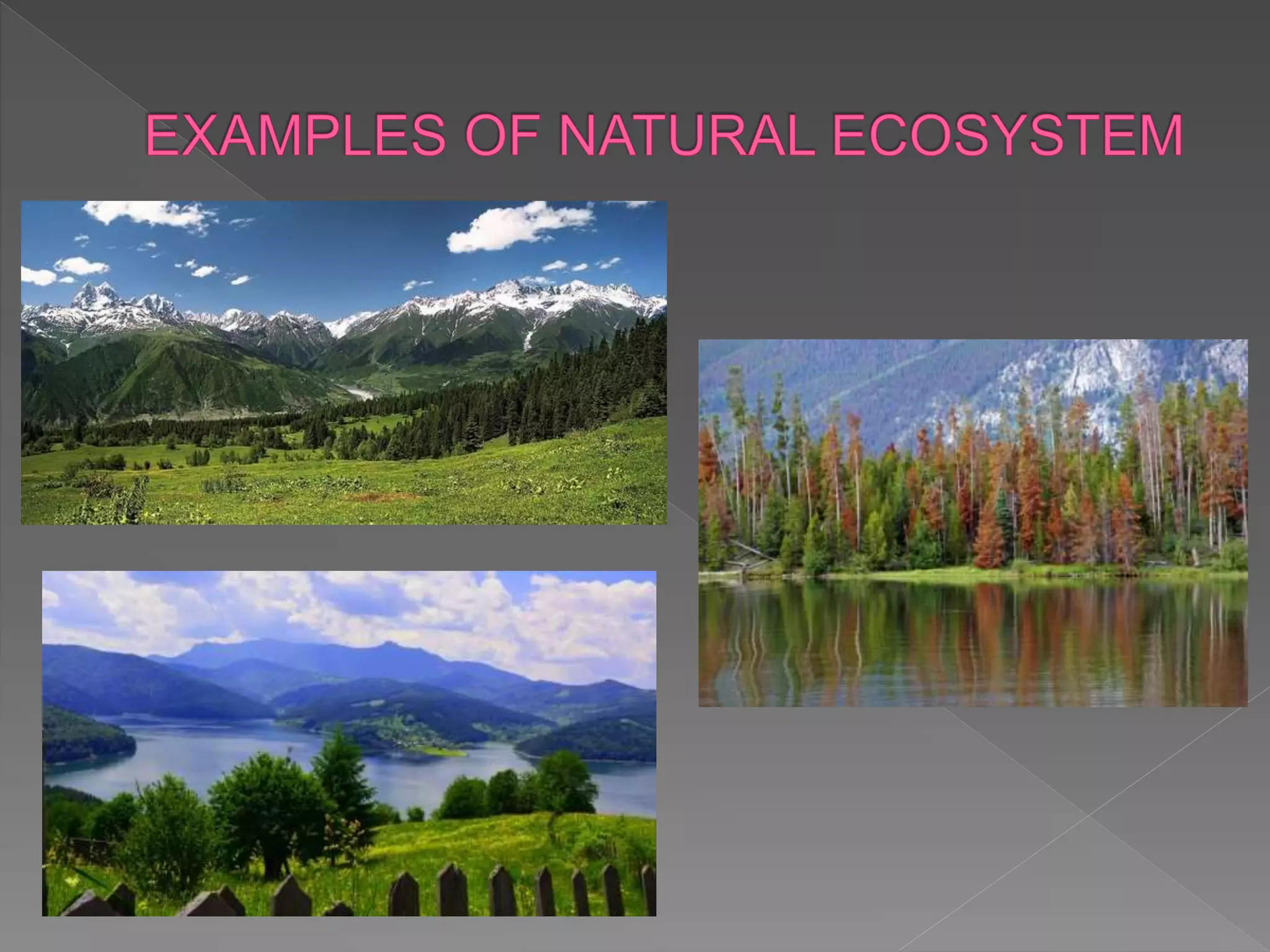 Chapter 7 Interaction and Interdependence | PPTX