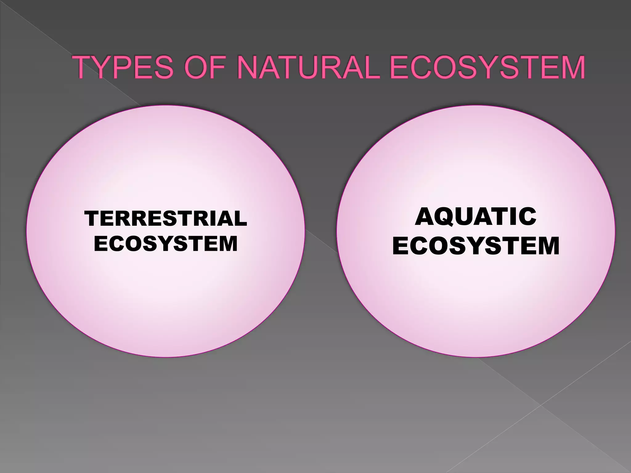 Chapter 7 Interaction and Interdependence | PPTX