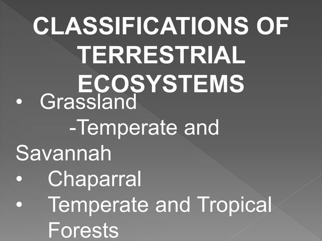 Chapter 7 Interaction and Interdependence | PPTX