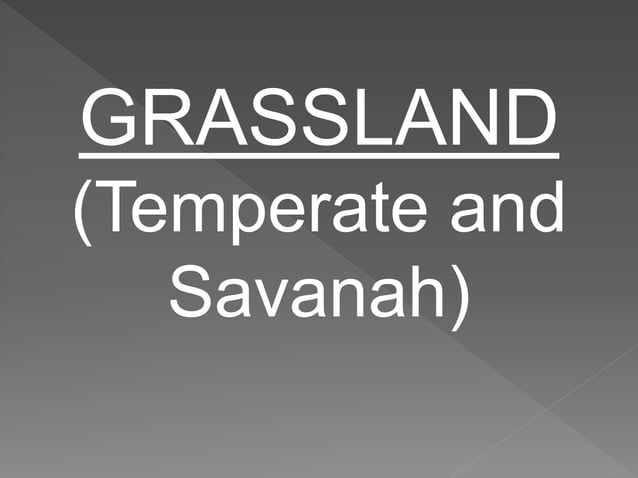 Chapter 7 Interaction and Interdependence | PPTX