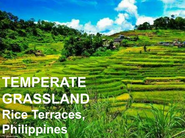 Chapter 7 Interaction and Interdependence | PPTX