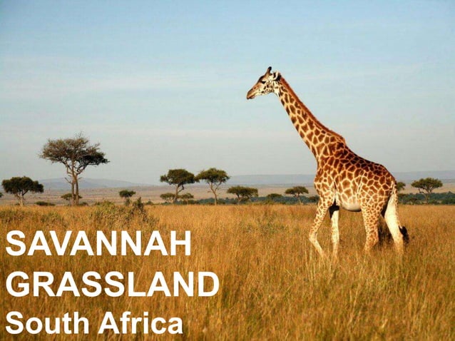 Chapter 7 Interaction and Interdependence | PPTX