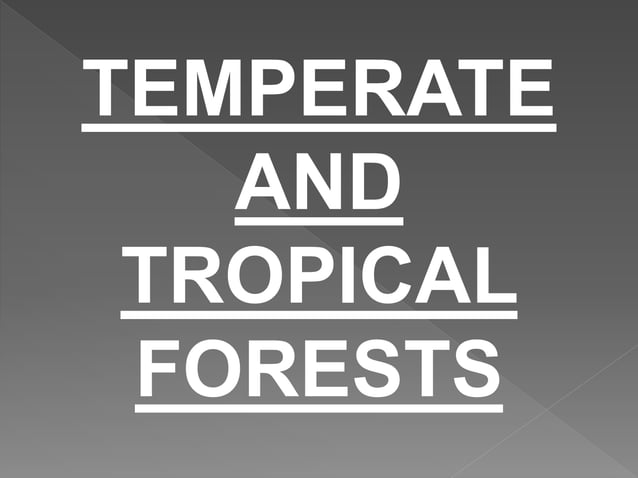 Chapter 7 Interaction and Interdependence | PPTX