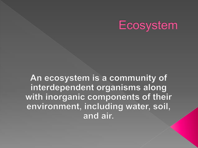 Chapter 7 Interaction and Interdependence | PPTX