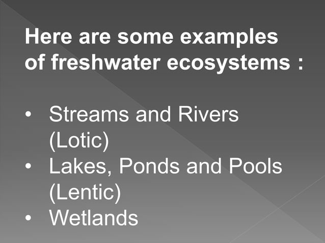 Chapter 7 Interaction and Interdependence | PPTX