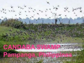 Chapter 7 Interaction and Interdependence | PPTX