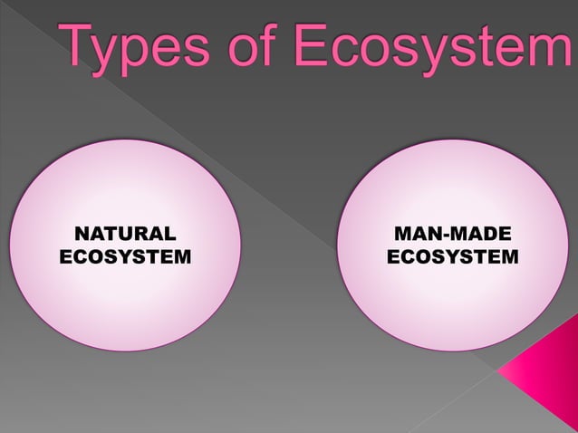 Chapter 7 Interaction and Interdependence | PPTX