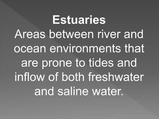 Chapter 7 Interaction and Interdependence | PPTX