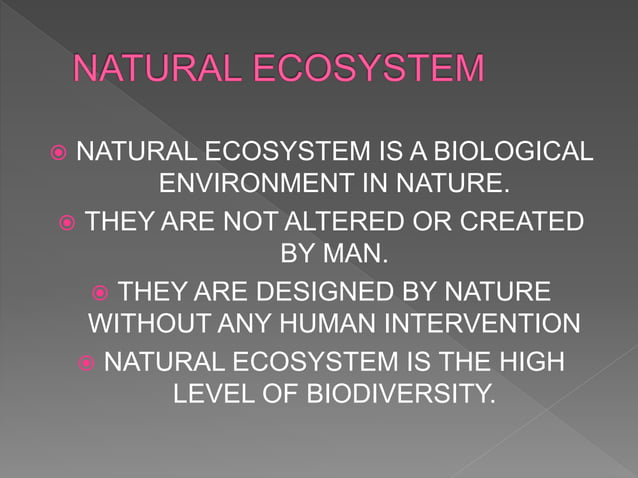 Chapter 7 Interaction and Interdependence | PPTX