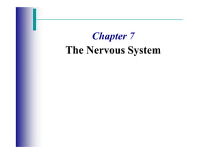 Chapter 7 jk converted | PPT