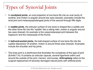 Chapter 7 joints | PPT