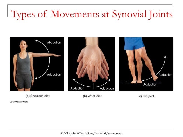 This Image Shows Some Examples Of The Movements Of Joints And Their