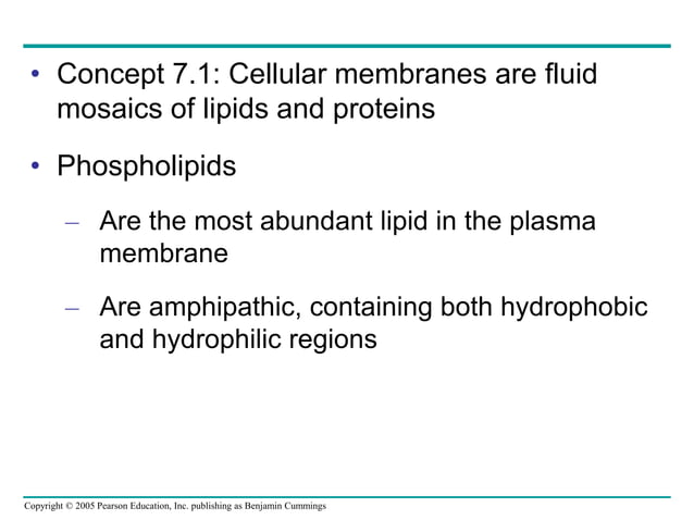 chapter7_membrane_structure_and_function.ppt | Biological Sciences | Science