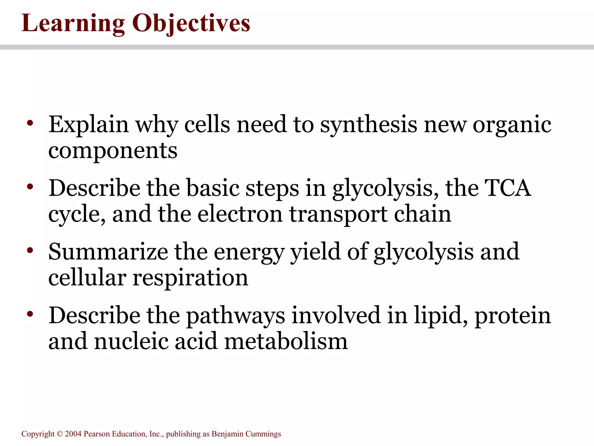 Chapter 7 metabolism and energy | PPT