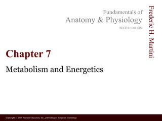 Chapter 7 metabolism and energy | PPT