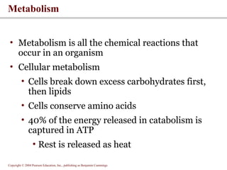 Chapter 7 metabolism and energy | PPT