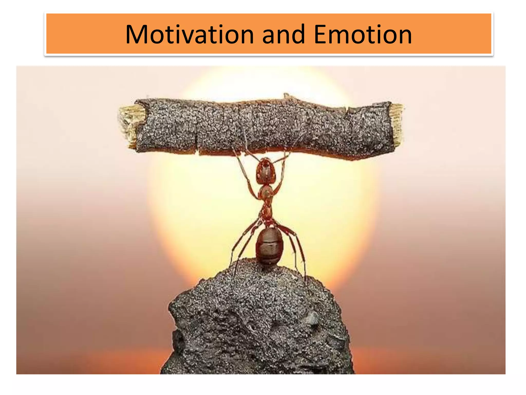 Chapter 7 motivation and emotion 1 | PPTX
