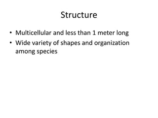 Chapter 7 multicellular plants | PPTX