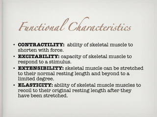 Chapter 7 muscular | PDF