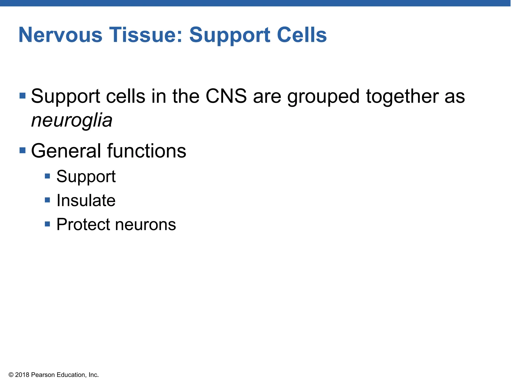 CHAPTER 7 Nervous System anaphysiology.pdf