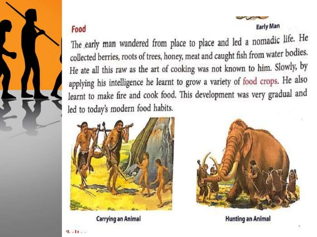 Our basic needs | PPT