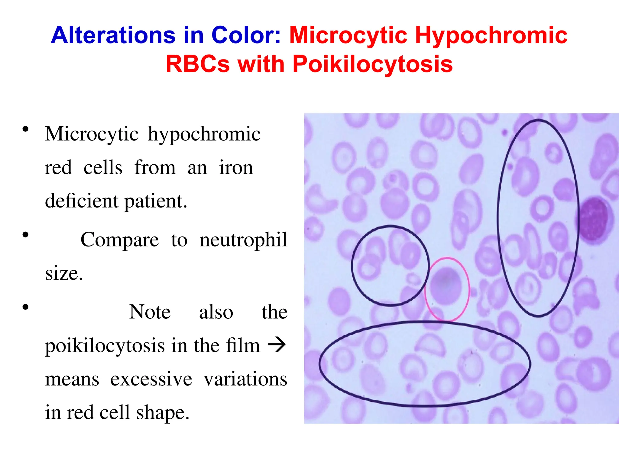Chapter 7 part I_Abnormalities size, color and distribution.ppt