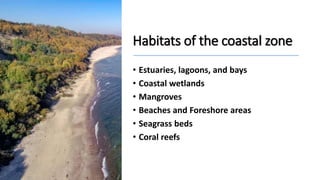 Participatory Coastal Assessment.pptx