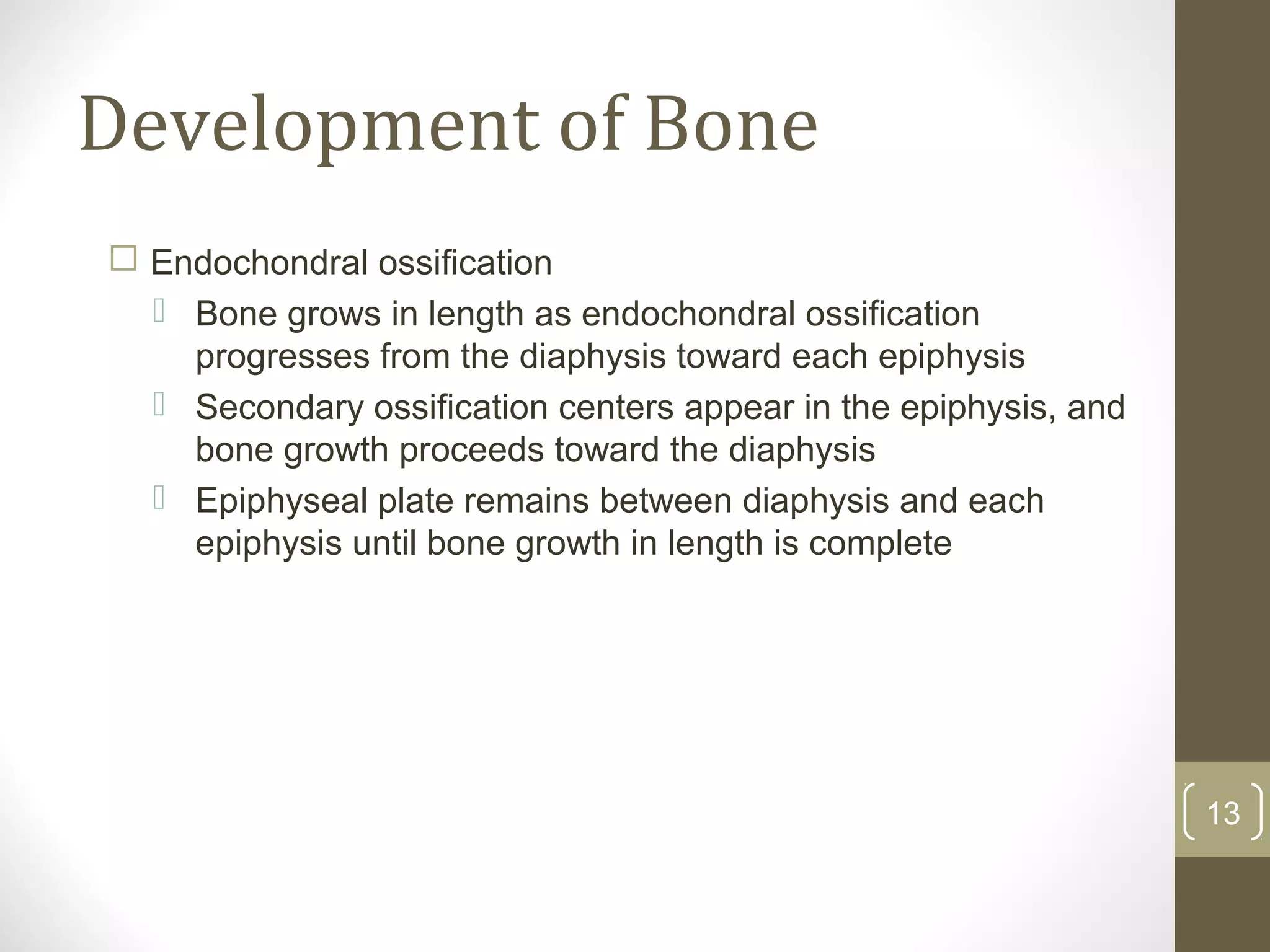 bone marrow toxicity& structure and function of bone marrow | PPT